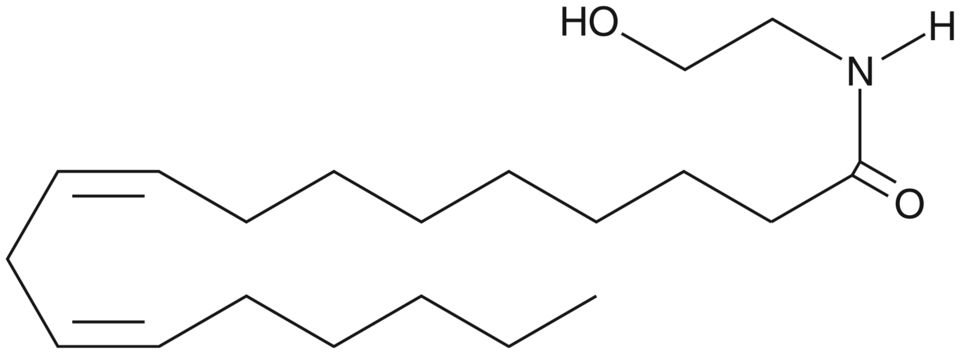 Linoleoyl Ethanolamide | CAS 68171-52-8 | Cayman Chemical | Biomol.com