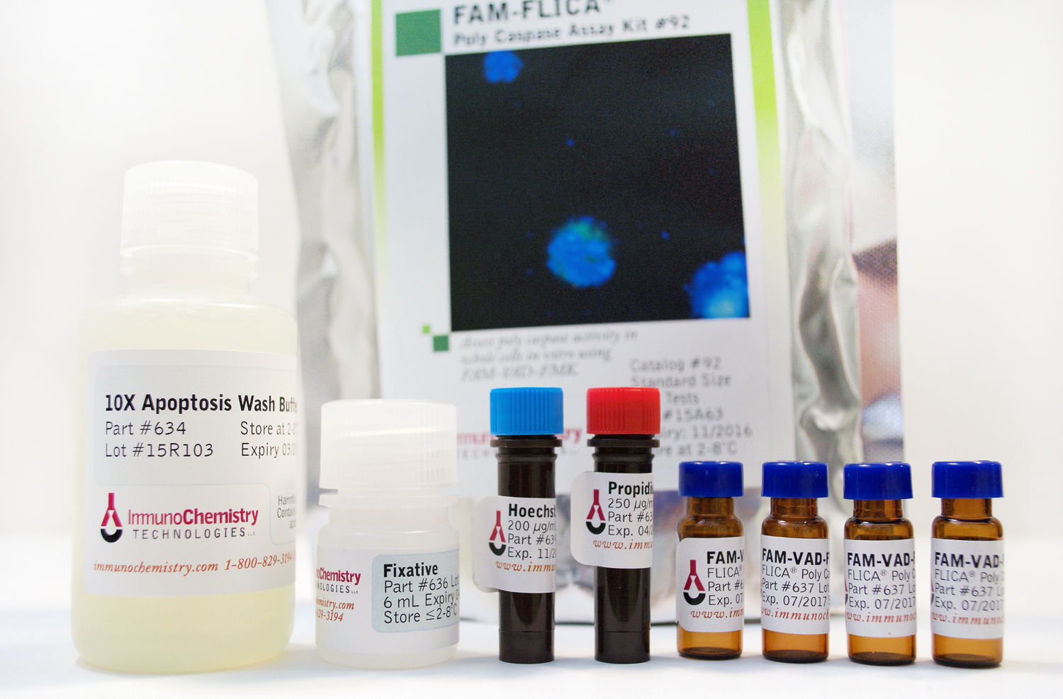 FAM-FLICA(R) Poly Caspases Assay Kit | ImmunoChemistry Technologies ...