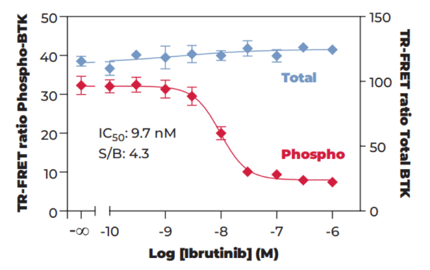 BTK (Total) and BTK (Phospho-Tyr223) TR-FRET Assay Kit | Cayman ...
