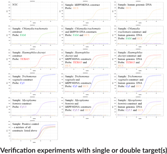 Sti1 Multiplexed Qpcr Assay Cayman Chemical