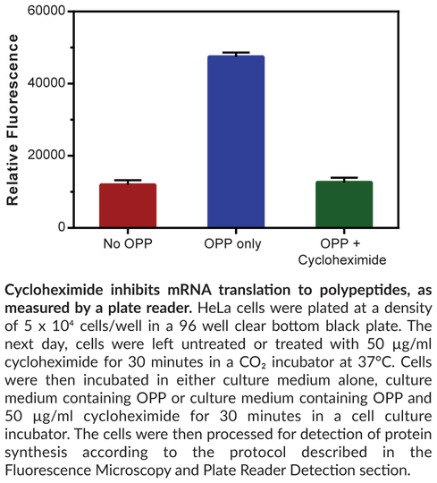Protein Synthesis Assay Kit | Cayman Chemical | Biomol.com