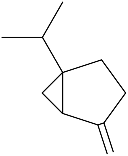 Sabinene | CAS 3387-41-5 | Cayman Chemical | Biomol.de
