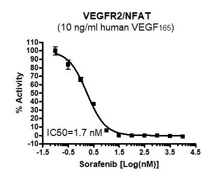 VEGFR2 / NFAT Reporter - HEK293 Recombinant Cell Line | BPS Bioscience ...