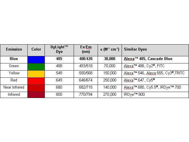 Anti-Human IgG (H&L), DyLight 680 conjugated | Rockland Immunochemicals ...