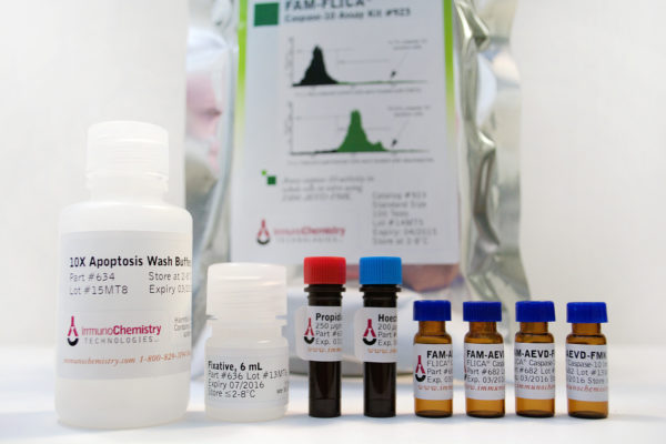 FAM-FLICA(R) Caspase 10 Assay Kit | ImmunoChemistry Technologies ...
