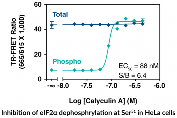eIF2alpha (Total) and eIF2alpha (Phospho-Ser51) TR-FRET Assay Kit ...