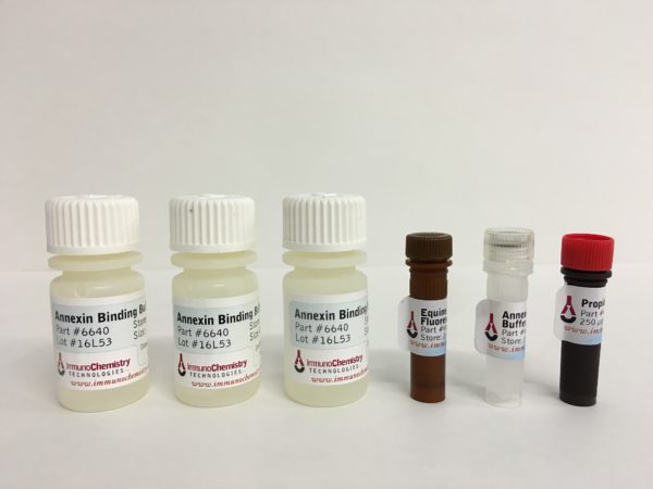 Equine Annexin V-Fluorescein Apoptosis Assay Kit | ImmunoChemistry ...