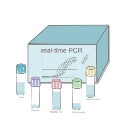 Standard qPCR Enzyme Mastermix | Cayman Chemical | Biomol.com