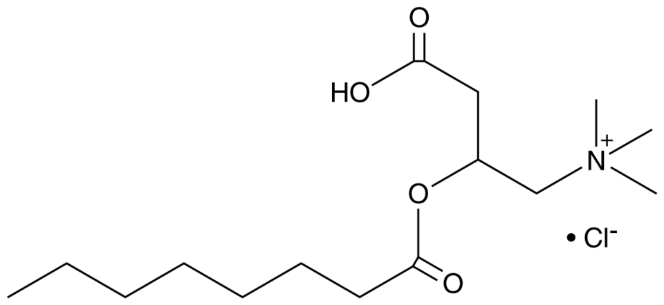 Octanoyl-DL-carnitine (chloride) | CAS 14919-35-8 | Cayman Chemical ...