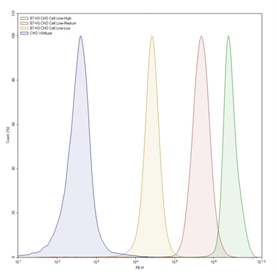 B7-H3 CHO Cell Line (High Expression) | BPS Bioscience | Biomol.com