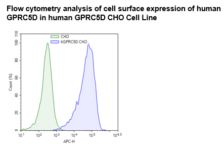 GPRC5D CHO Cell Line | BPS Bioscience | Biomol.com