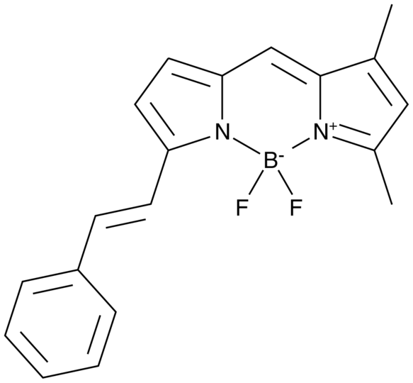 STY-BODIPY | CAS 2383063-37-2 | Cayman Chemical | Biomol.com