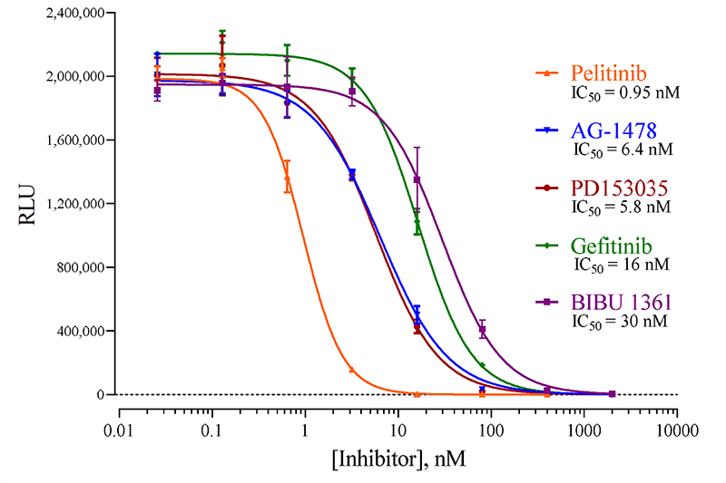 Epidermal Growth Factor Receptor 1 (EGFR1) (Human) Reporter Assay ...