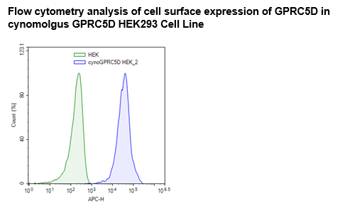 GPRC5D (Cynomolgus) HEK293 Cell Line | BPS Bioscience | Biomol.com