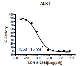 ALK1 (ACVRL1) Kinase Assay Kit | BPS Bioscience | Biomol.com