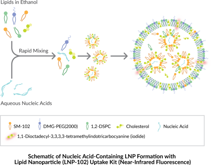 LipidLaunch(TM) LNP-102 Uptake Kit (Near-Infrared Fluorescence ...