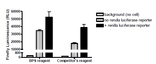 TWO-Step Luciferase (Firefly & Renilla) Assay System | BPS Bioscience ...