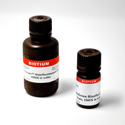 PathoGreen Histofluorescent Stain, 1000X in water | Biotium | Biomol.com