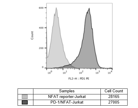 Growth Arrested PD-1 / NFAT Reporter - Jurkat Recombinant Cell Line | BPS Bioscience | Biomol.com