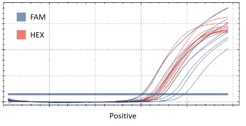 Mycoplasma DNA Detection Kit | Arigo Biolaboratories | Biomol.de