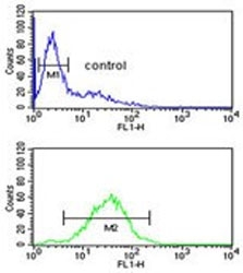 Anti-Mitoferrin-2 / MFRN2 / SLC25A28 | NSJ Bioreagents | Biomol.com