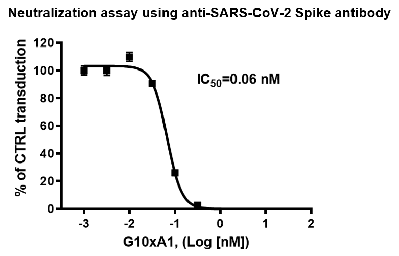 Spike (B.1.617.2, Delta Variant) (SARS-CoV-2) Pseudotyped VSV Delta G ...