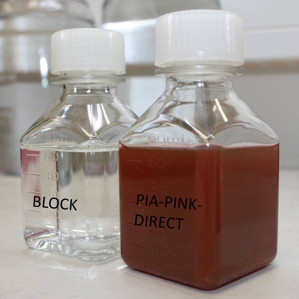 PIA-PINK-DIRECT KIT Rabbit | PiNa-Tec | Biomol.de
