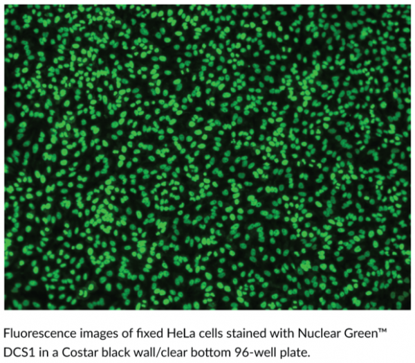 Nuclear Green(TM) DCS1 | Cayman Chemical | Biomol.com