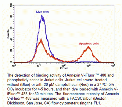 Cell Meter(TM) Annexin V Binding Apoptosis Assay Kit, Green Fluorescence Optimized for Flow ...