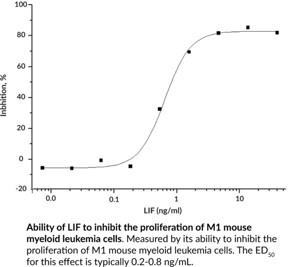 LIF (human, recombinant) | Cayman Chemical | Biomol.com