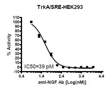 TrkA / SRE Reporter - HEK293 Recombinant Cell Line | BPS Bioscience ...