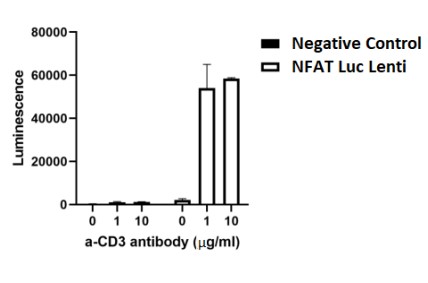 NFAT Luciferase Reporter Lentivirus (G418) 79579-G | BPS Bioscience ...
