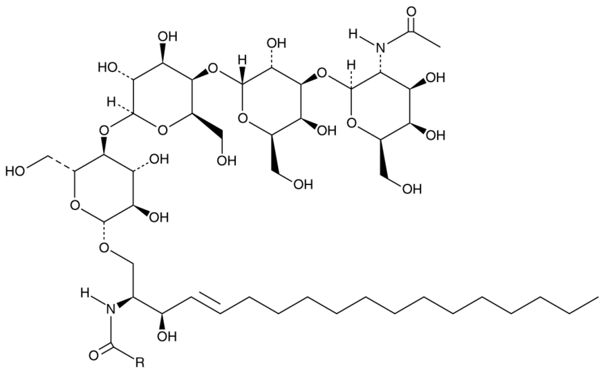 Globotetraosylceramide (porcine RBC) | CAS 11034-93-8 | Cayman Chemical ...
