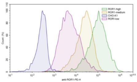 ROR1-CHO Recombinant Cell Line | BPS Bioscience | Biomol.de