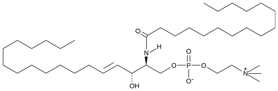 Sphingomyelin Structure