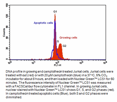 Cell Meter(TM) Fluorimetric Cell Cycle Assay Kit *Green Fluorescence ...