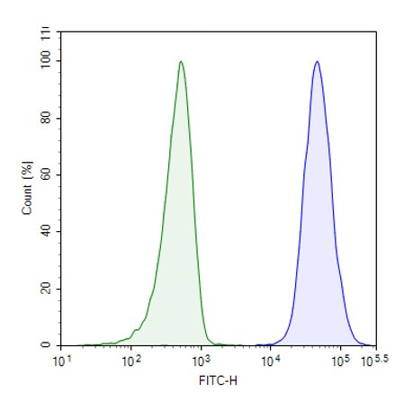 TCR/B2M Knockout NFAT Luciferase Reporter Jurkat Cell Line | BPS Bioscience | Biomol.de