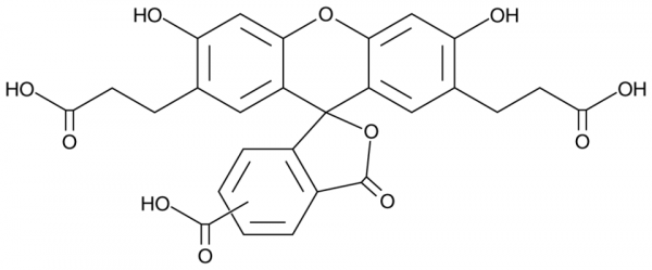 BCECF | CAS 85138-49-4 | Cayman Chemical | Biomol.de