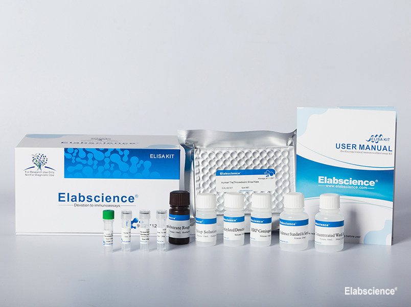 Rat TNF-alpha(Tumor Necrosis Factor Alpha) ELISA Kit | Elabscience ...