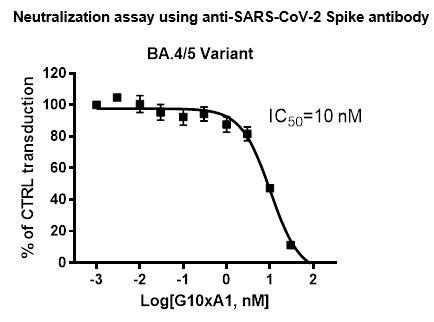 Spike (BA.4/5, Omicron Variant) (SARS-CoV-2) Pseudotyped Lentivirus (Luc Reporter) | BPS ...