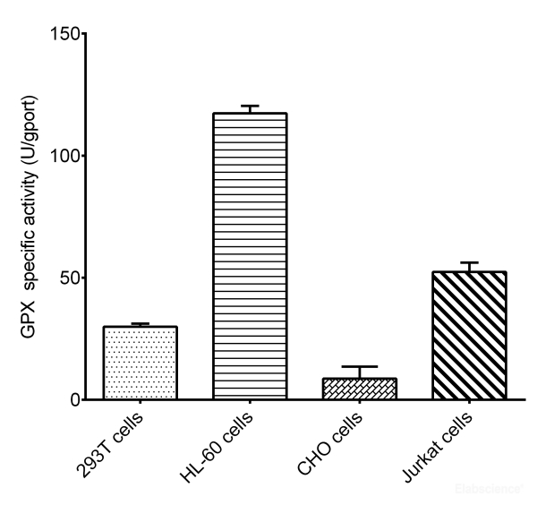 Cell Glutathione Peroxidase (GPX) Activity Assay Kit | Elabscience ...