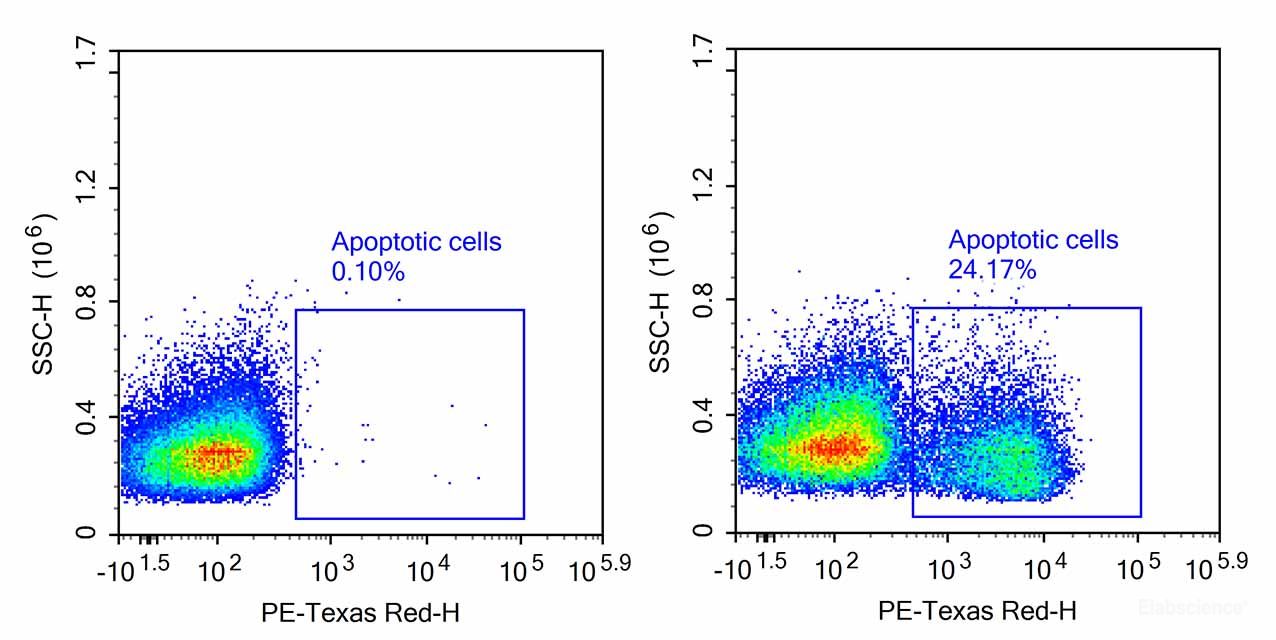 One-step TUNEL Flow Cytometry Apoptosis Kit (Red, AF594) | Elabscience ...