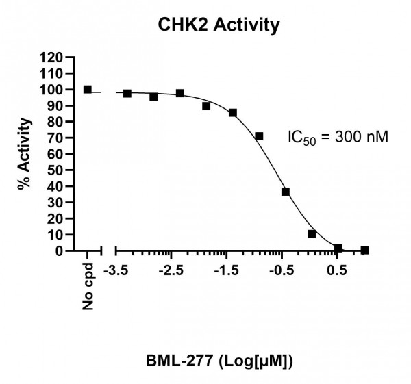 CHK2 Kinase Assay Kit | BPS Bioscience | Biomol.de