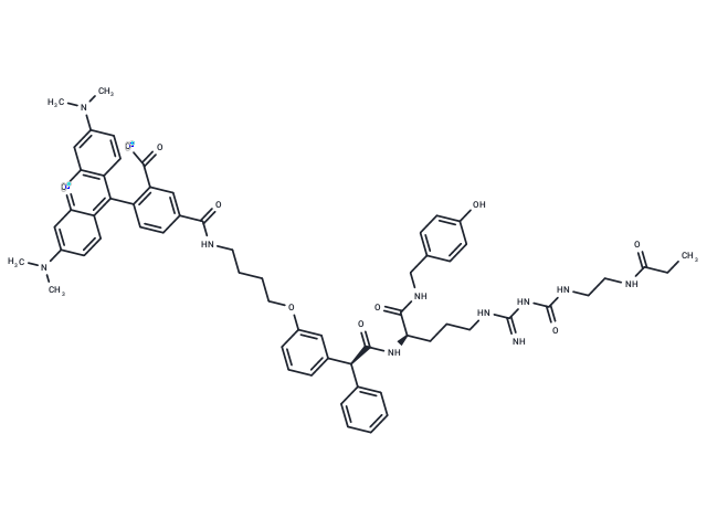 Neuropeptide Y Y1 receptor antagonist 1 | CAS 2773476-40-5 | TargetMol ...