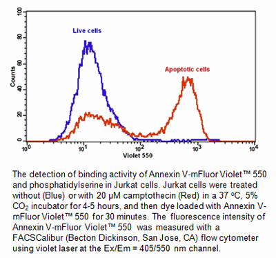 Cell Meter(TM) Annexin V Binding Apoptosis Assay Kit, Orange Fluorescence Excited at 405 nm ...