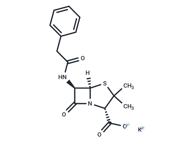 Penicillin G potassium | CAS 113-98-4 | TargetMol | Biomol.com