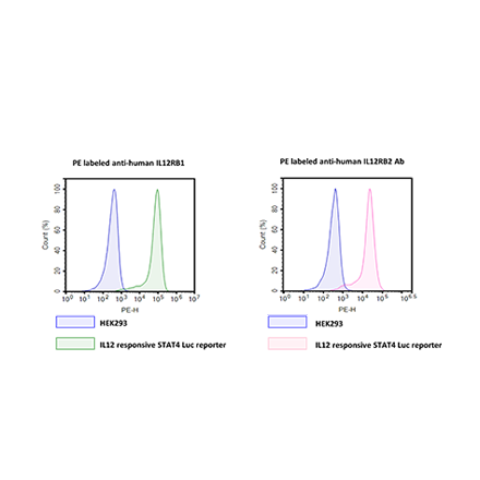 IL-12 Responsive STAT4 Luciferase Reporter HEK293 Cell Line | BPS ...