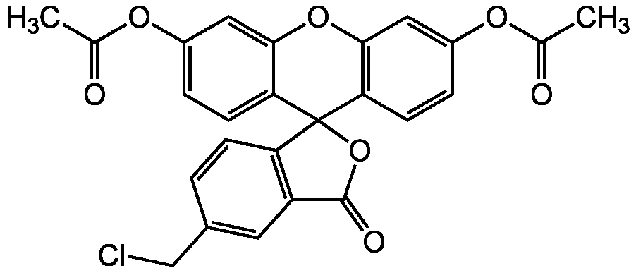 Green CMFDA | CAS 136832-63-8 | Chemodex | Biomol.de