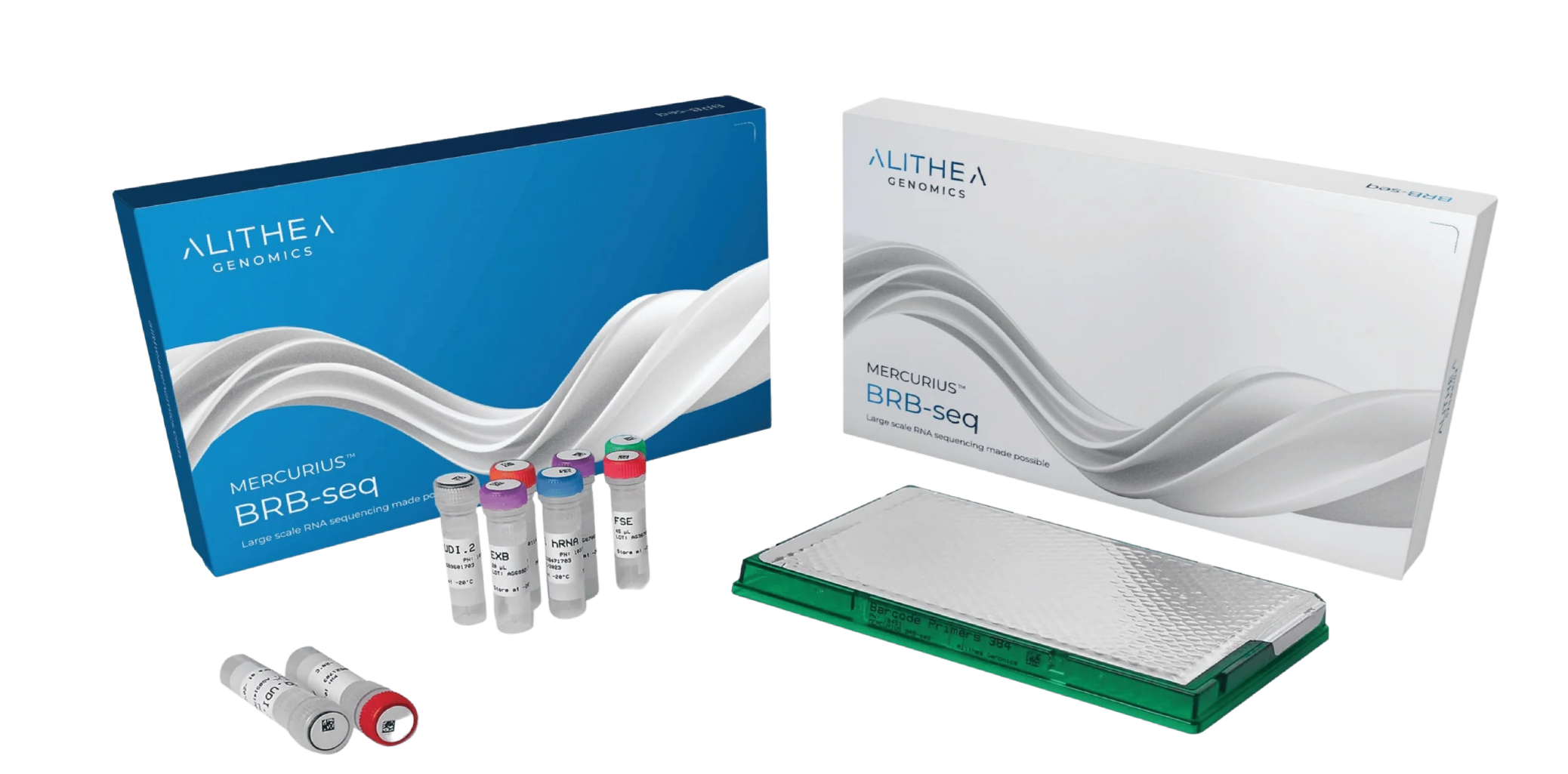 MERCURIUS(TM) Multiplexed RNA-seq kit (mRNA) (96x4 reactions) | Alithea ...