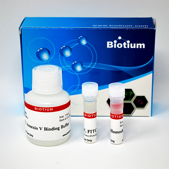 Apoptosis & Necrosis Quantification Kit (50 assays) | Biotium | Biomol.com